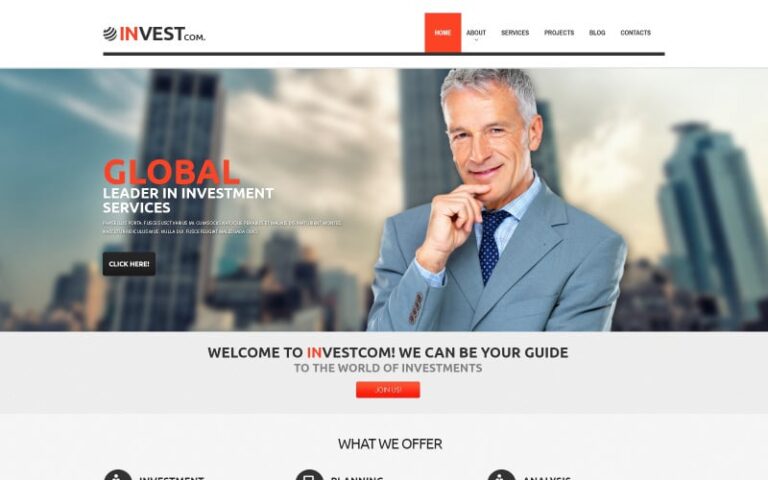 Investment Company Responsive WordPress Theme - Template Witch