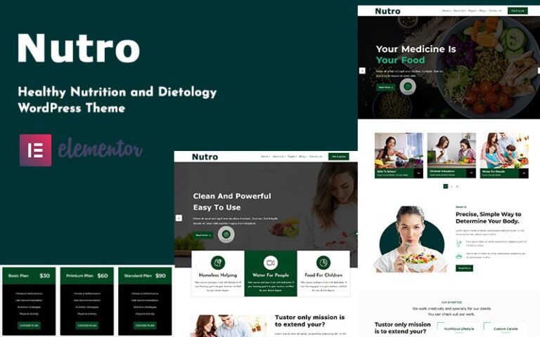 Nutro - Nutrition Health Services WordPress Theme - Template Witch