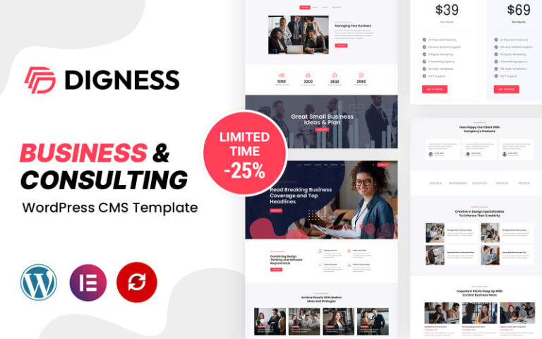 Digness - Consulting Business WordPress Theme - Template Witch