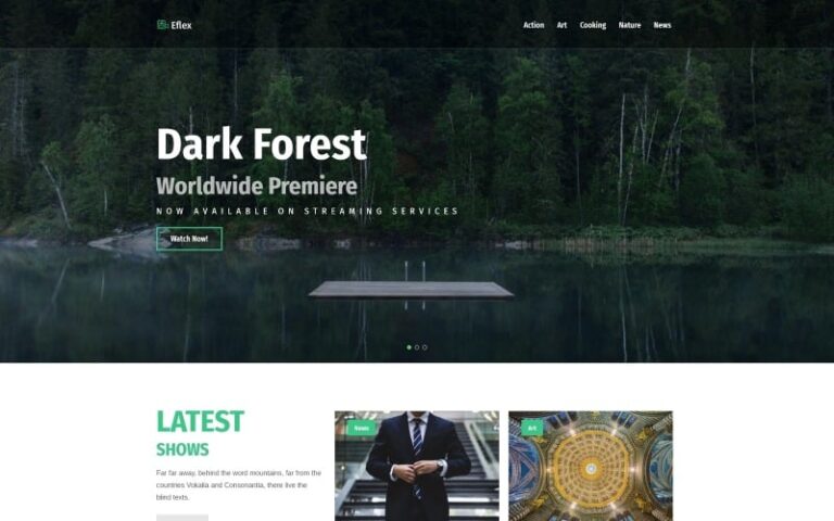 Eflex - Video Blog Multipurpose Classic WordPress Elementor Theme - Template Witch