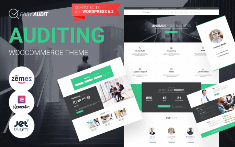 EasyAudit - Auditing WordPress Theme - Template Witch